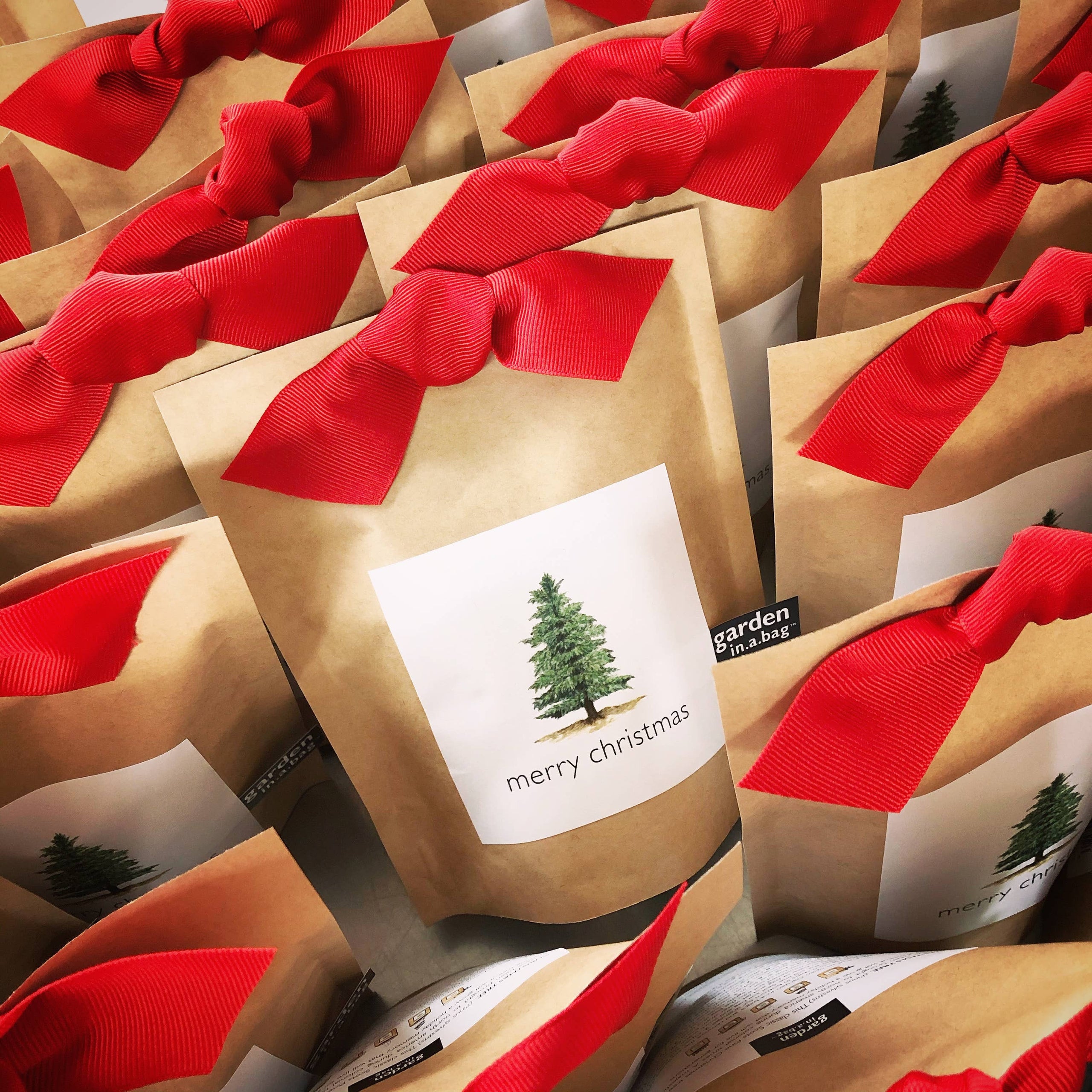 Christmas Tree in a Bag | Flor & Co.